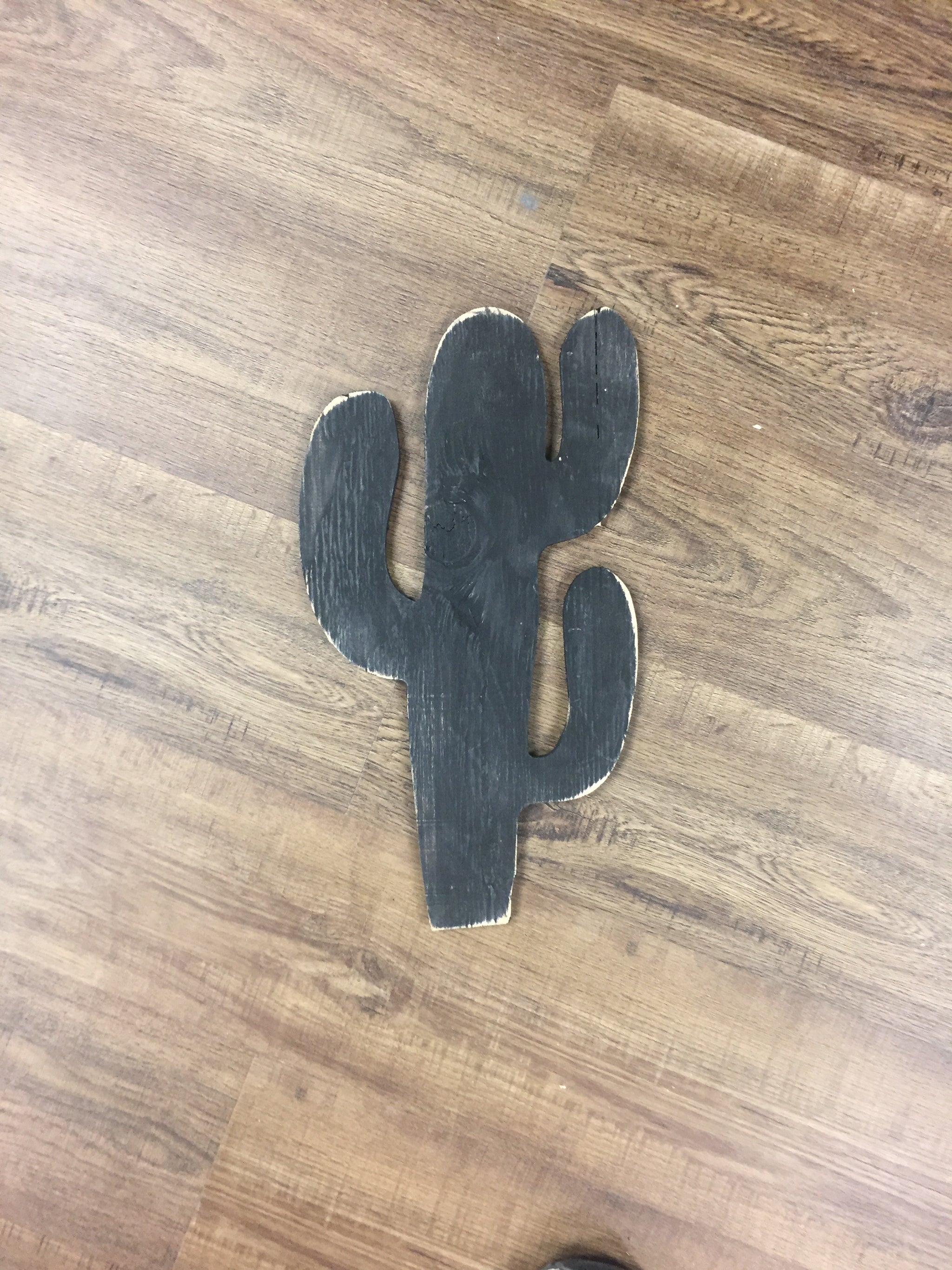 Cactus Cutouts – JaxnBlvd